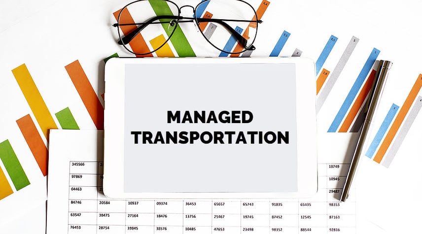 Managed transportation services: a case study